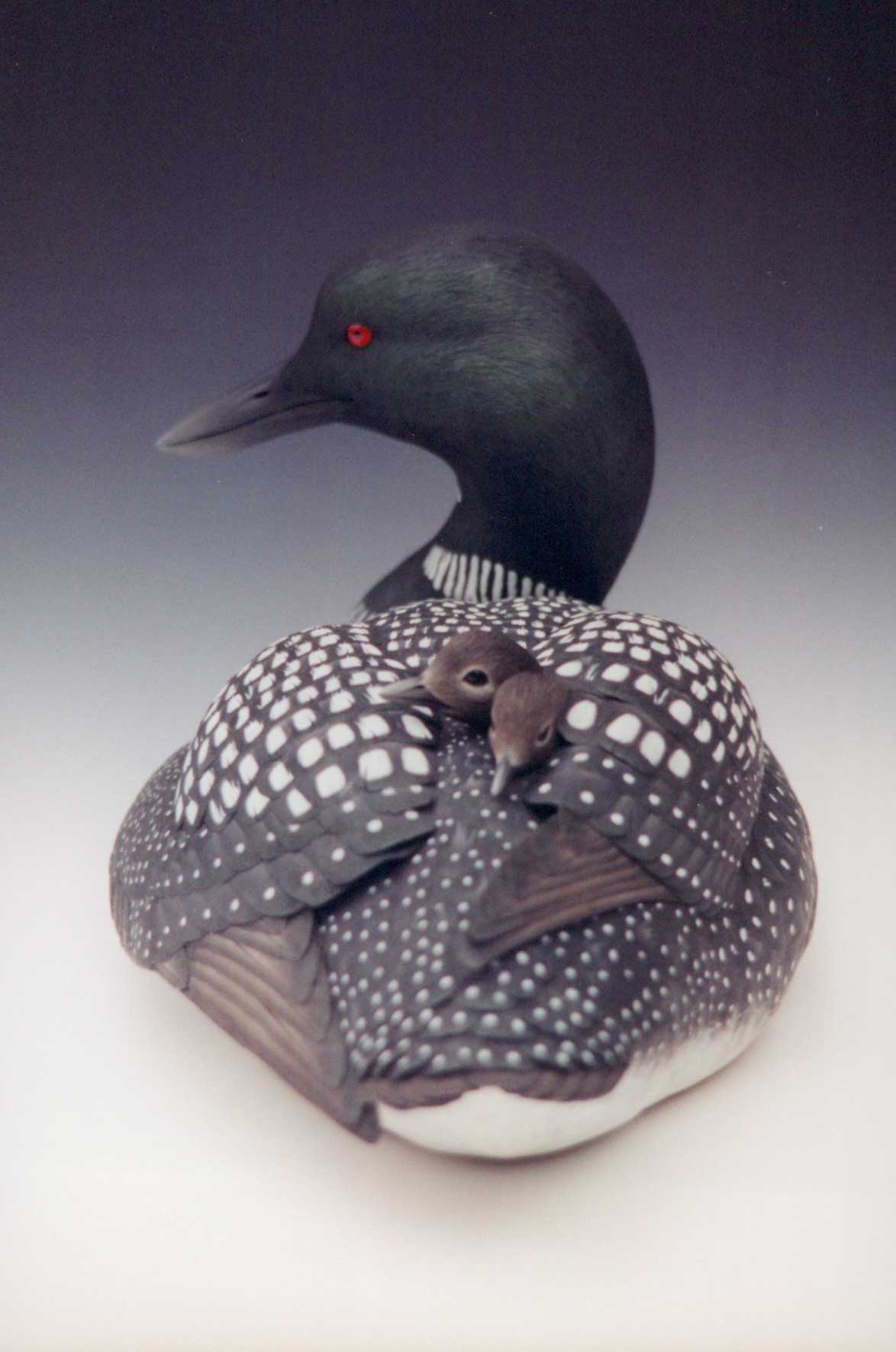 Wildfowl Design- The Carvings of Dennis Schroeder: Decorative Loon with ...