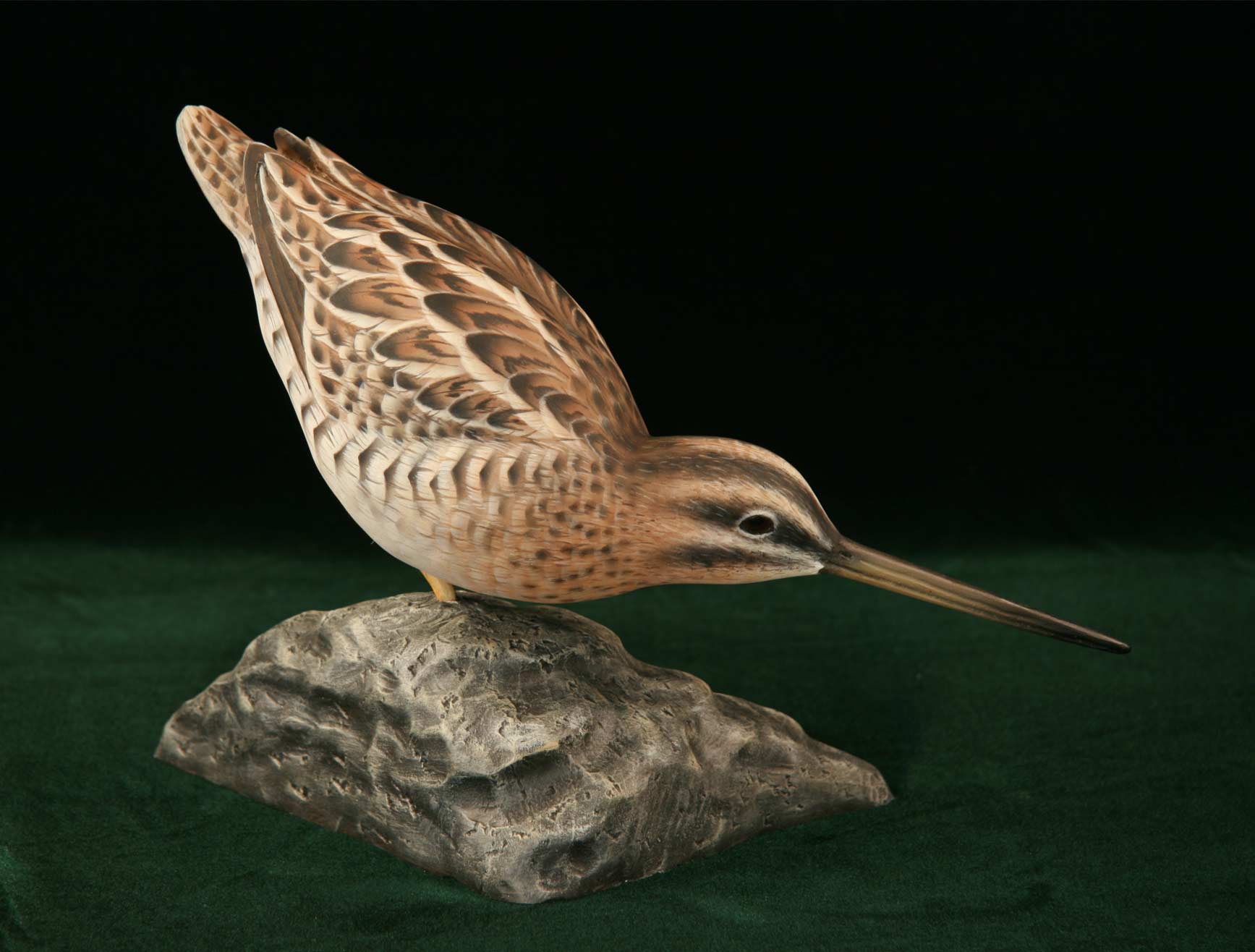 Wildfowl Design- The Carvings of Dennis Schroeder: Decorative Eurasian ...